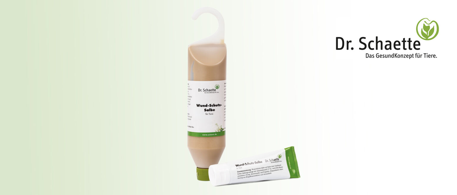 Referenzprojekte Archiv - Dermatest