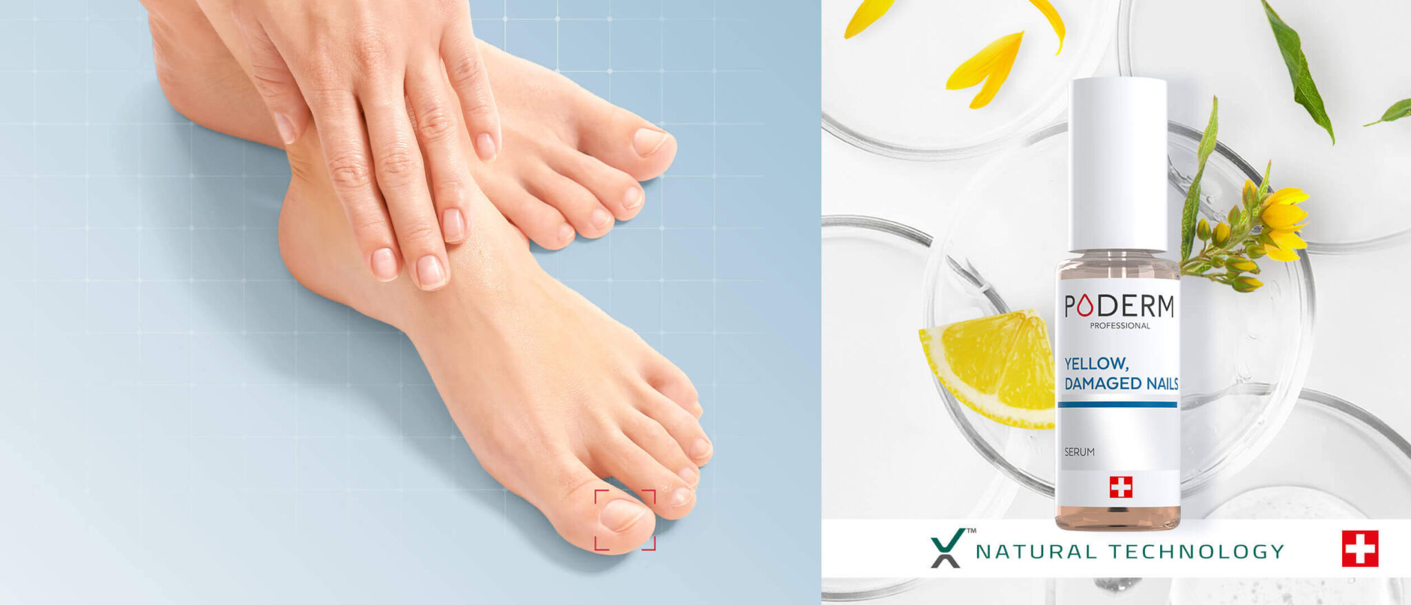 Original Dermatest seal of approval - scientifically and independently ...